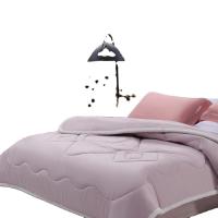 China Yes Custom Logo Accepted Antibacterial Quilt Bedding Set with Australian Wool Core for sale