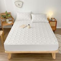 China Fashion Washed Cotton Comforter Set Mattress Protector for Twin Full King Queen Size for sale