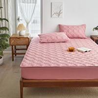 China Fashion Washed Cotton Comforter Set Mattress Protector for Twin Full King Queen Size for sale