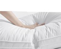 China Experience the Luxury of 400TC Cotton Feather Velvet Pillow Core in Five Star Hotels for sale