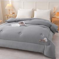 China Sustainable Polyester Quilt Cotton Linen Blend Dual- for Spring and Autumn Winter Hotel for sale