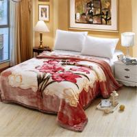 China All-Season Warming Double Thick Chunky Soft Fleece Plush Bed Blanket with Solid Color for sale