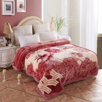 China All-Season Warming Double Thick Chunky Soft Fleece Plush Bed Blanket with Solid Color for sale