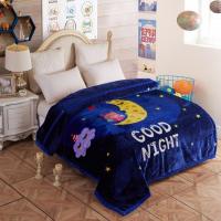 China Stay Warm and Comfortable with our Double Thick Chunky Soft Fleece Plush Bed Blanket for sale