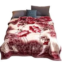 China Comfortable Winter Thickened Raschel Blanket Super Soft Double Layer for Home Textile for sale