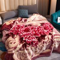 China Comfortable Winter Thickened Raschel Blanket Super Soft Double Layer for Home Textile for sale