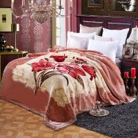 China Comfortable Winter Thickened Raschel Blanket Super Soft Double Layer for Home Textile for sale