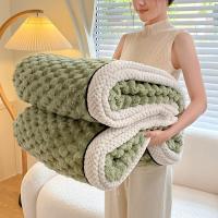 China 2024A Class A Multifunctional Reversible Blanket Season All-Season Bebe Fleece Bedroom for sale