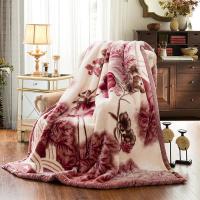 China Thick Double Layer Raschel Velvet Fabric Blanket for Skin-friendly and Cozy Nap Time for sale