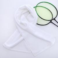 China Embroidered 180gsm Custom Logo Quick-drying Sports Towel for Extended Outdoor Fitness for sale