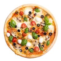 China Adults' Printed Super Soft Flannel Foods Fruits Pie Pizza Pepperoni Omelette Tortilla Blanket for sale