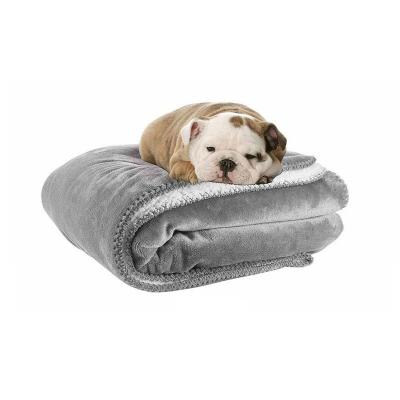 China 100% Polyester Lambswool Pet Blanket All-Season Waterproof Knitted for Cats and Dogs for sale