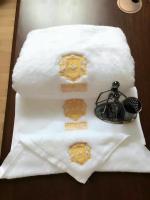 China 100% Cotton Fabric Solid Color Custom Logo Bath Towel Set for Luxury Hotel Bathroom for sale