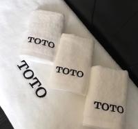 China 100% Cotton Fabric Solid Color Custom Logo Bath Towel Set for Luxury Hotel Bathroom for sale