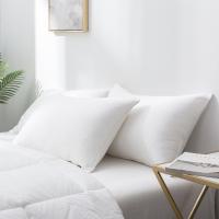 China Five-Star Hotel Bedding Part NECK Feathered Velvet Pillow Core for Comfortable Sleep for sale