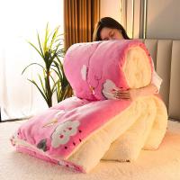 China Polyester Filling Winter Quilt Thickened Warm Lamb Fleece Quilt for Soft and Cozy Sleep for sale