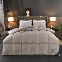 China Custom Size Sustainable Hilton Hotel Textile Quilt Duvet Bedding with 100% Polyester for sale