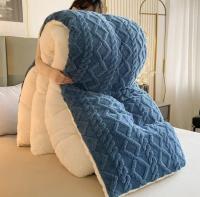 China Customized Color Thickened Warm Lamb Fleece Quilt for Sustainable Chemical Fiber Quilt for sale