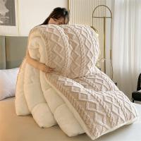 China Customized Color Thickened Warm Lamb Fleece Quilt for Sustainable Chemical Fiber Quilt for sale