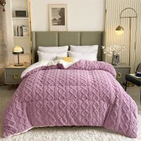 China Warm Chunky Thickened Winter Velvet Sherpa Quilt Weight Blanket for sale