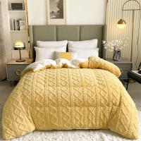 China Warm Chunky Thickened Winter Velvet Sherpa Quilt Weight Blanket for sale
