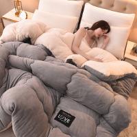 China Four Seasons Universal Down Alternative Quilted Comforter Duvet Insert for All-Season for sale