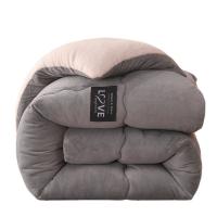 China Four Seasons Universal Down Alternative Quilted Comforter Duvet Insert for All-Season for sale