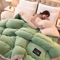 China Four Seasons Universal Down Alternative Quilted Comforter Duvet Insert for All-Season for sale