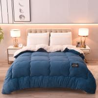 China Four Seasons Universal Down Alternative Quilted Comforter Duvet Insert for All-Season for sale