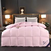 China Home 100% Polyester Thickened Warm 5 Star Hilton Hotel Textile Filling Quilt Duvet Bedding for sale