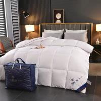 China Home 100% Polyester Thickened Warm 5 Star Hilton Hotel Textile Filling Quilt Duvet Bedding for sale