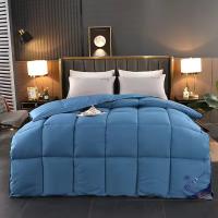 China Home 100% Polyester Thickened Warm 5 Star Hilton Hotel Textile Filling Quilt Duvet Bedding for sale