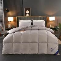 China Home 100% Polyester Thickened Warm 5 Star Hilton Hotel Textile Filling Quilt Duvet Bedding for sale