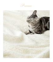 China Luxury And Comfort With Our Modern Gray Flannel Sherpa Blanket All-Season for sale