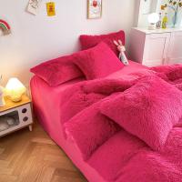 China Color Solid Pattern Type Luxury Shaggy Warm Mink Velvet Crystal Bedding Set for Winter for sale