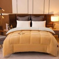 China Home 2023 Thicken Light Pink Solid Soft Comforters Set for Winter Super Warm Bedding for sale