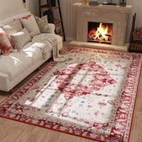China Cushioned Vintage Area Rug for Home Floor Non Slip and Washable Living Room Carpet for sale