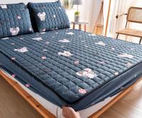 China Home Quilted Fittings Custom Printed Brushed Mattress Protectors for Bed Protection Pad for sale