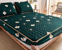 China Home Quilted Fittings Custom Printed Brushed Mattress Protectors for Bed Protection Pad for sale