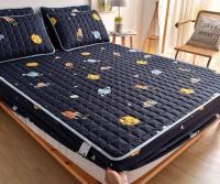 China Home Quilted Fittings Custom Printed Brushed Mattress Protectors for Bed Protection Pad for sale