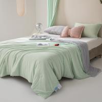 China Summer Blanket Comforter Microfiber Quilt with Popular Bamboo Silk in Customized Color for sale
