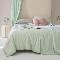 China Summer Blanket Comforter Microfiber Quilt with Popular Bamboo Silk in Customized Color for sale