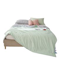 China Summer Blanket Comforter Microfiber Quilt with Popular Bamboo Silk in Customized Color for sale