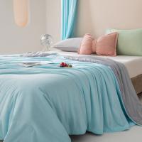 China Summer Blanket Comforter Microfiber Quilt with Popular Bamboo Silk in Customized Color for sale