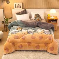 China Sample Sustainable Super Soft Warm Cozy Winter Quilt Double Sided Soft Velvet Comforter for sale