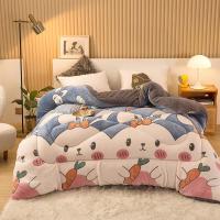 China Sample Sustainable Super Soft Warm Cozy Winter Quilt Double Sided Soft Velvet Comforter for sale