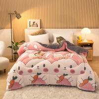 China Sample Sustainable Super Soft Warm Cozy Winter Quilt Double Sided Soft Velvet Comforter for sale