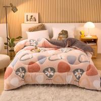 China Sample Sustainable Super Soft Warm Cozy Winter Quilt Double Sided Soft Velvet Comforter for sale