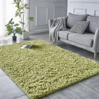 China 9mm Thick Large Fluffy Shag Living Room Area Rugs for Home Hotel Bathroom and Shower Room for sale