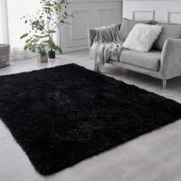 China 9mm Thick Large Fluffy Shag Living Room Area Rugs for Home Hotel Bathroom and Shower Room for sale